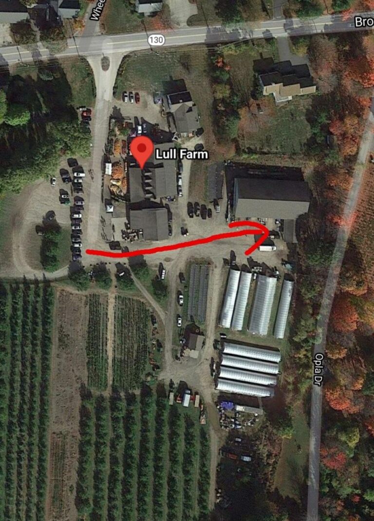 Places to Visit Farm Animals in Southern NH - Mommy, UP!