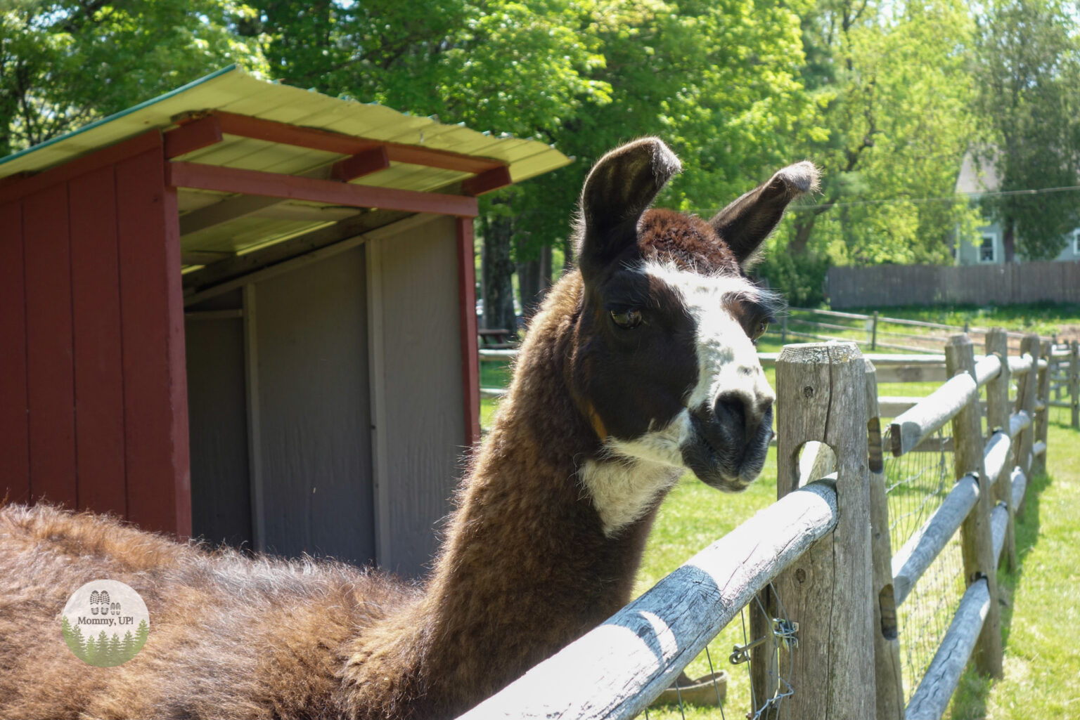 The Friendly Farm - Mommy, UP!