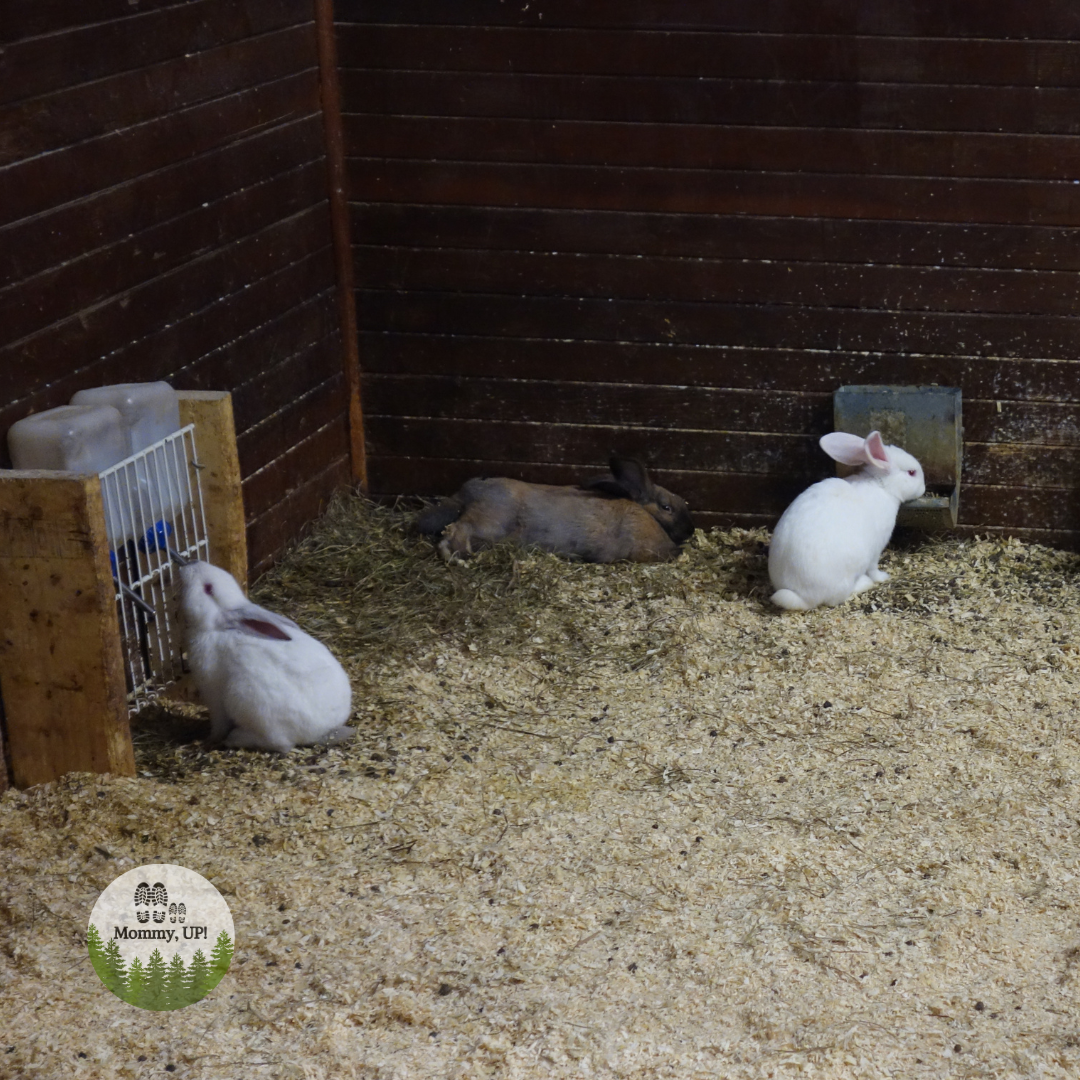 The Friendly Farm - Mommy, UP!